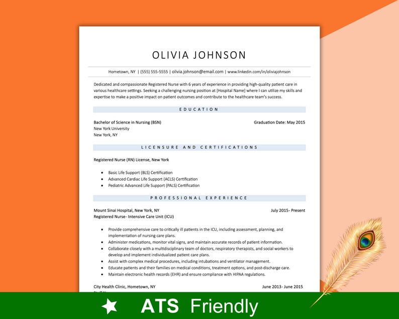 ATS Friendly Resume Template Word and Google Docs for Nurse ...