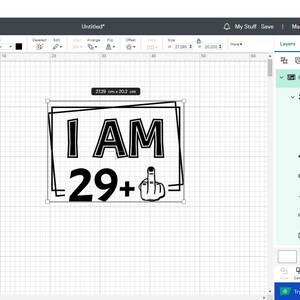 I Am 29 Plus One Svg, Funny 30th Birthday Gift Svg,fabulous 30th Svg ...