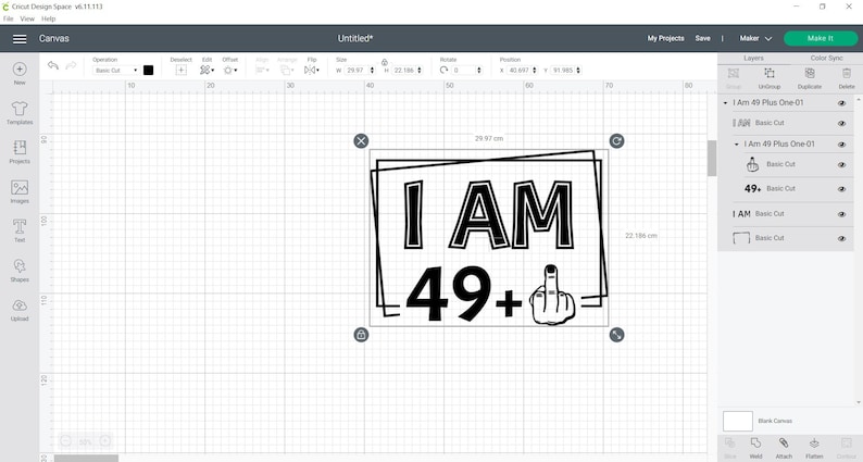 I Am 49 Plus One Svg Funny 50th Birthday Gift Svgfunny 50th - Etsy