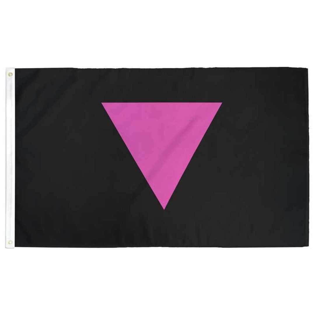 Pink Triangle LGBT Pride Flag - Etsy
