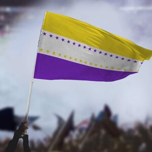 Womens Suffrage 19th Amendment Victory Flag - Etsy