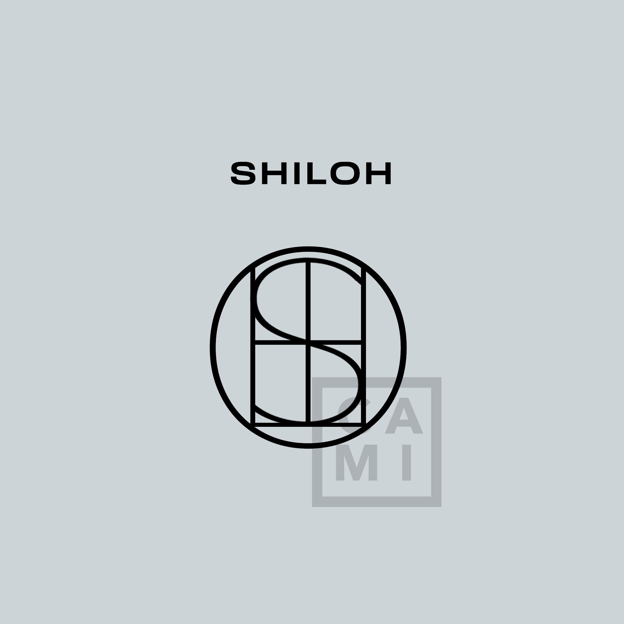 Premade Name Logo shiloh Tiktok Custom Name Logo Digital - Etsy