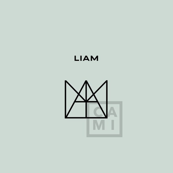 Premade Name Logo liam Tiktok Custom Name Logo Digital - Etsy