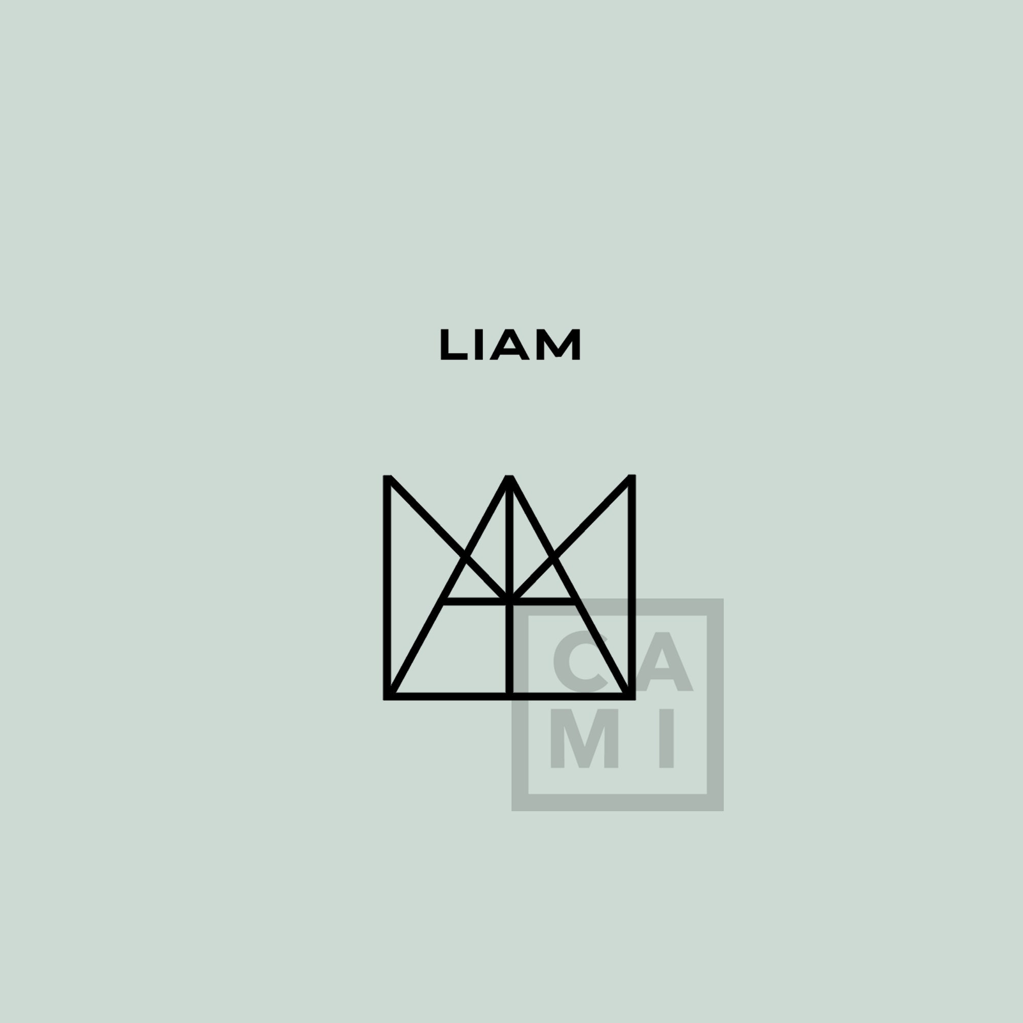 Premade Name Logo (liam) - Tiktok Custom Name Logo - Digital File ...