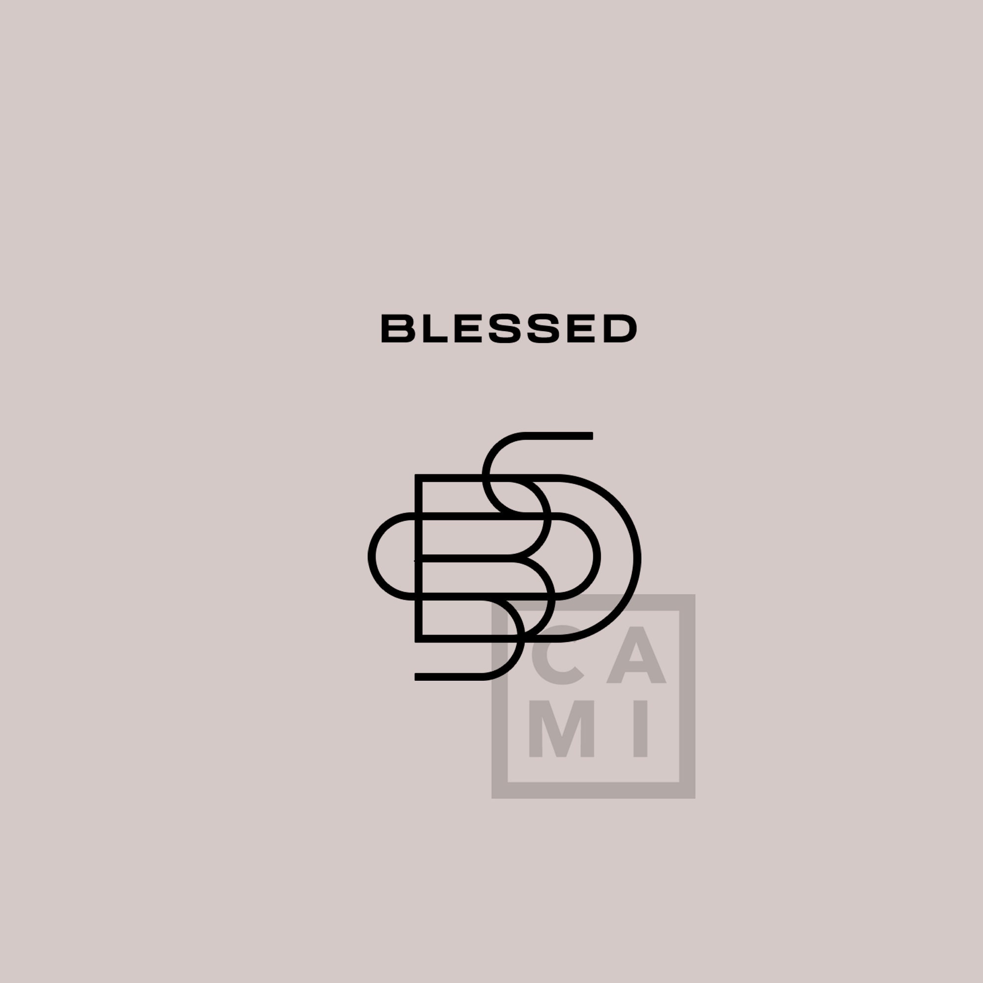 Premade Word Logo (blessed) - Tiktok Custom Name Logo - Digital File ...