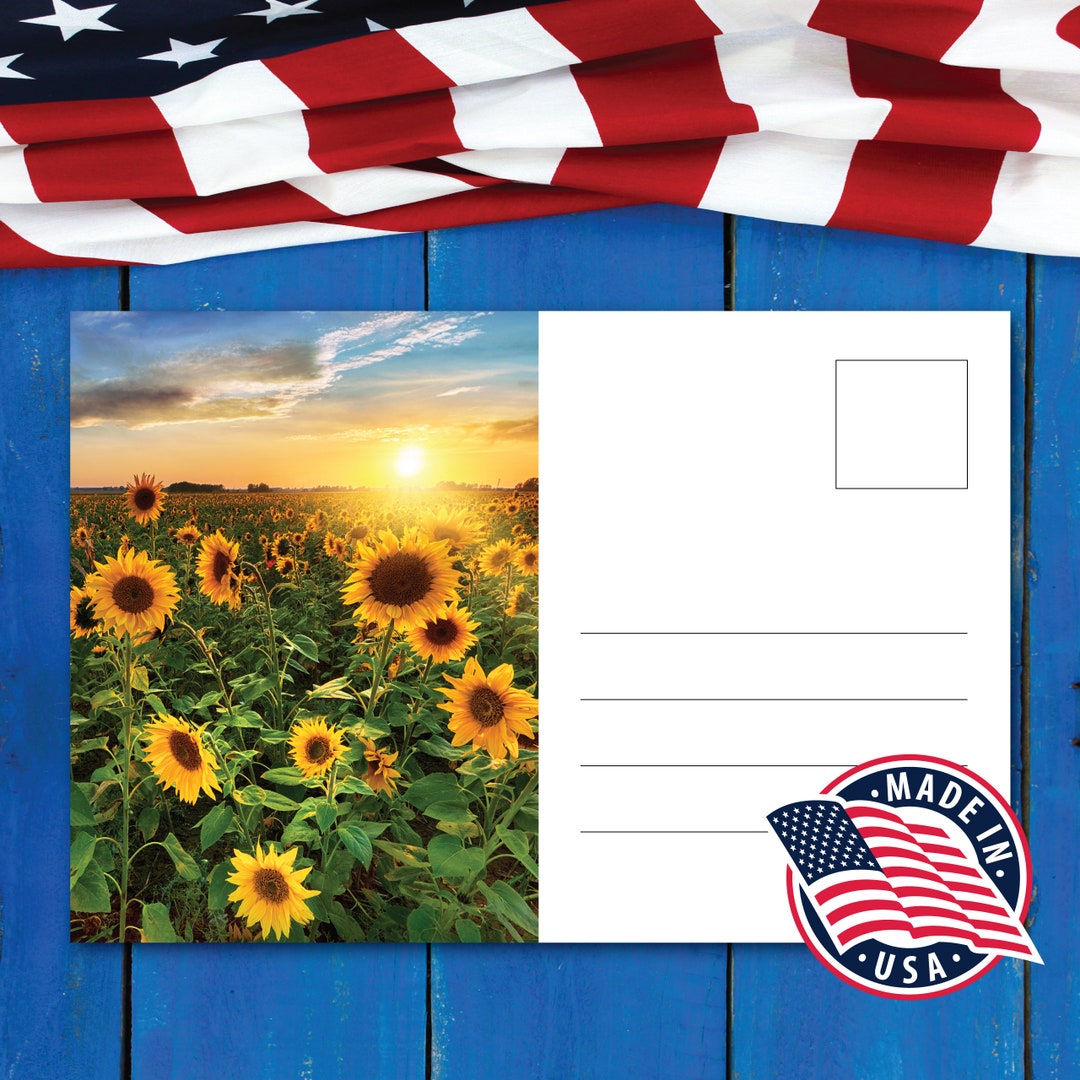 Vote Postcards for Mailing, Voter Post Card 4 X 6, Top Selling Voter ...