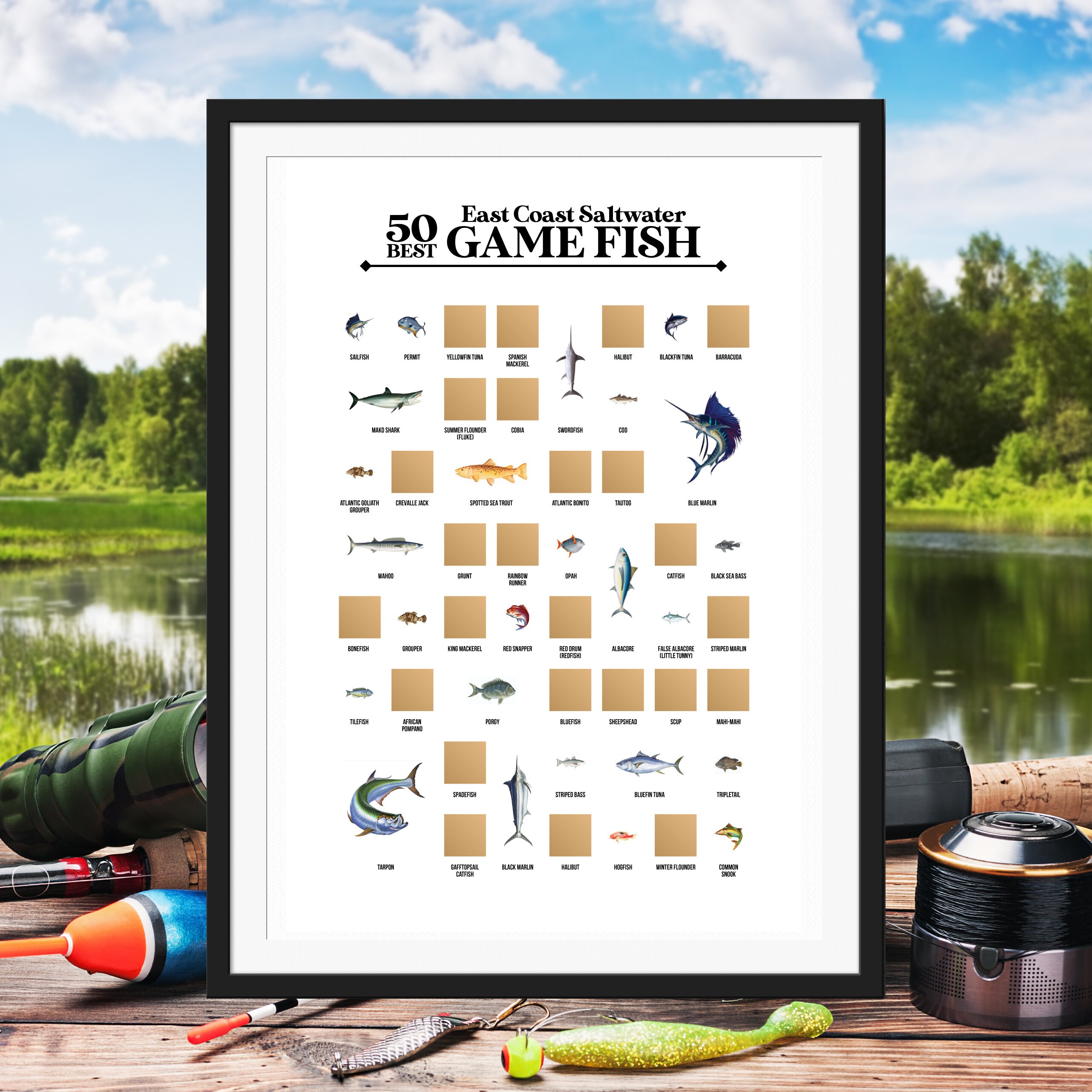 50 Best East Coast Saltwater Game Fish Scratch off Poster - Etsy