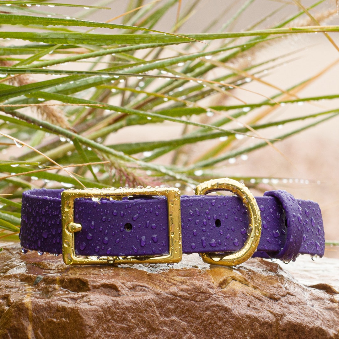Biothane® Waterproof Buckle Dog Collar Purple - Etsy