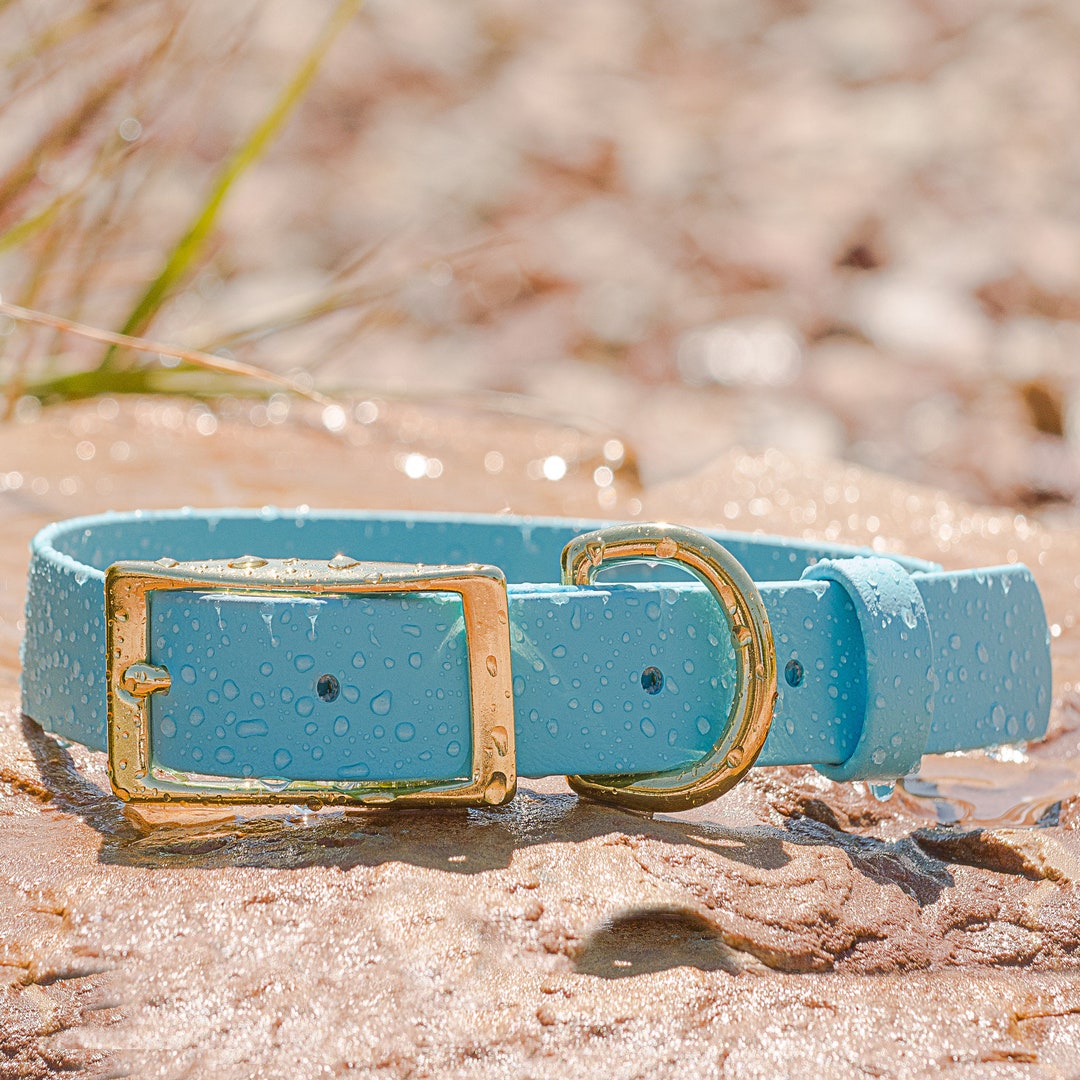 Biothane® Waterproof Buckle Dog Collar Sky Blue - Etsy