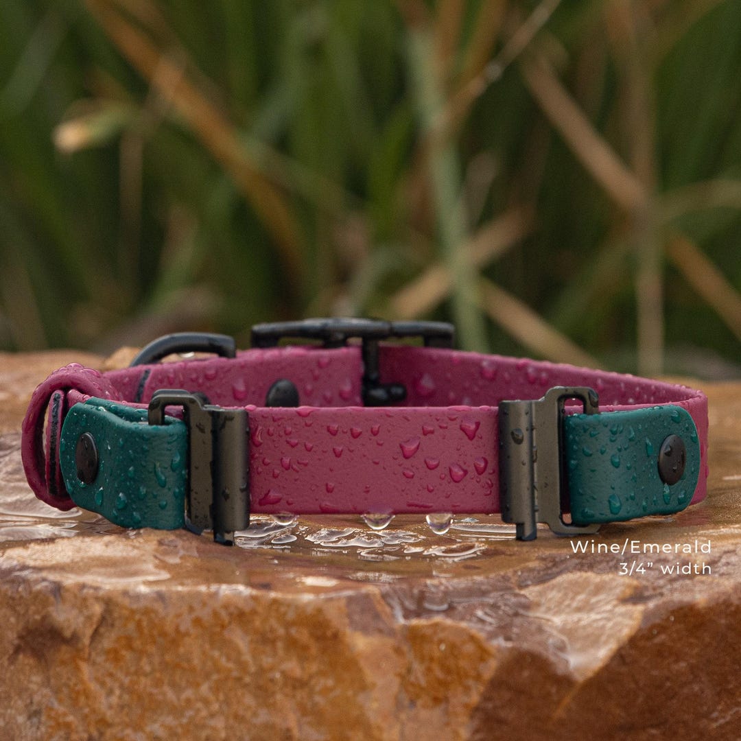 Fi Series 3 Compatible - Biothane® Waterproof Buckle Collar - Etsy