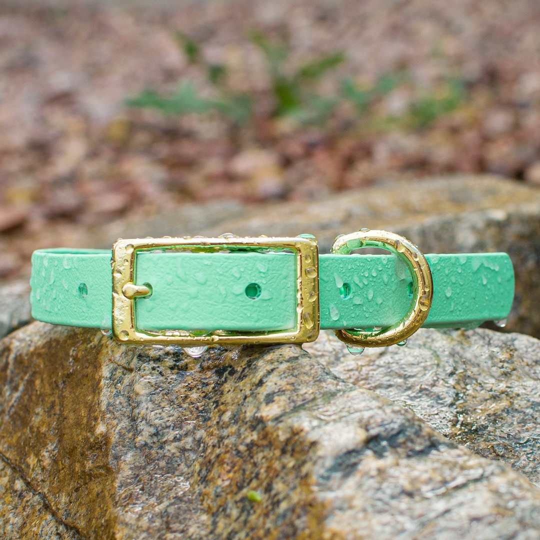 Biothane® Waterproof Buckle Dog Collar Seafoam - Etsy