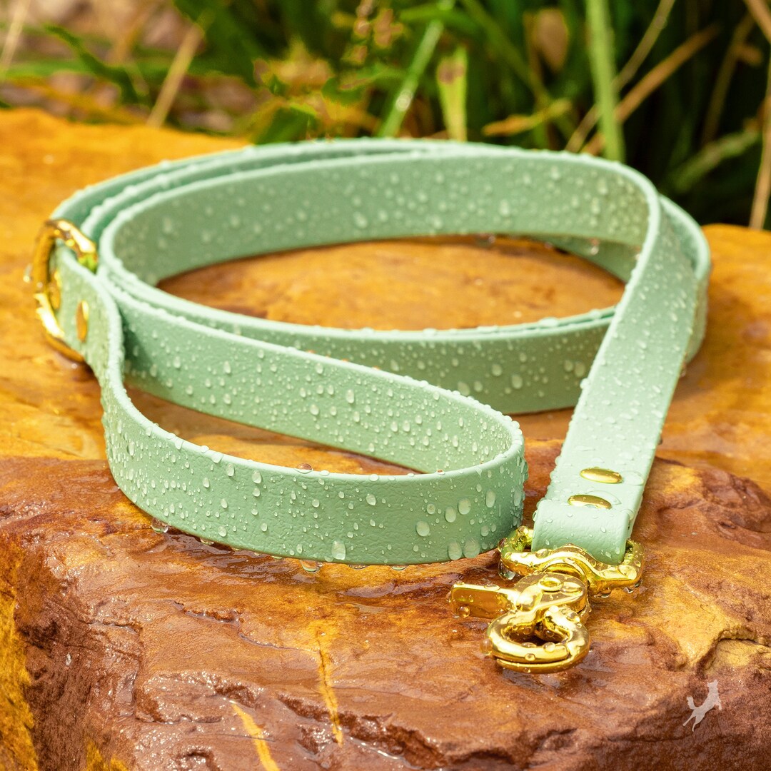 Biothane® Waterproof Dog Leash Sage Green - Etsy