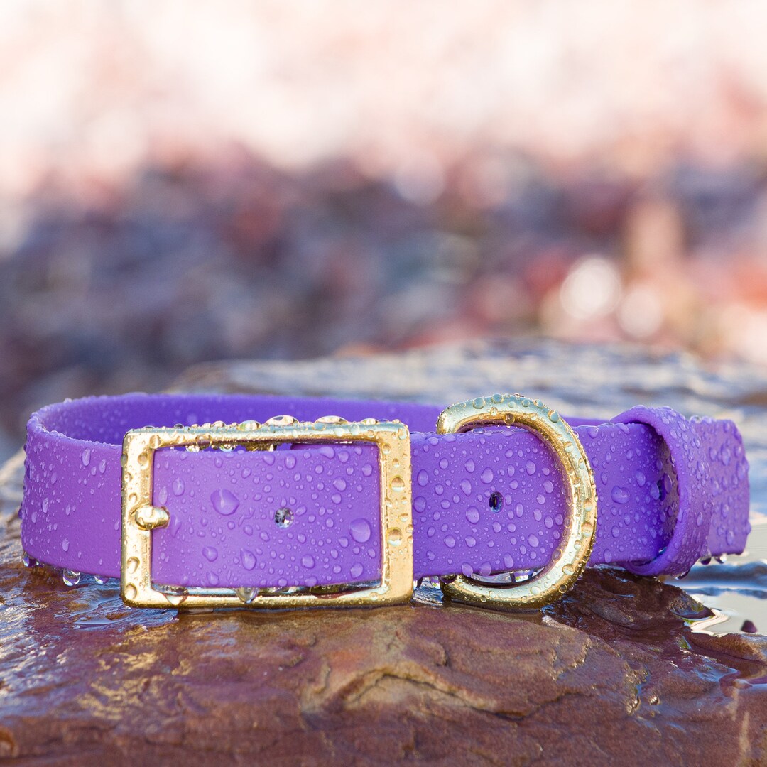 Biothane® Waterproof Buckle Dog Collar Amethyst - Etsy