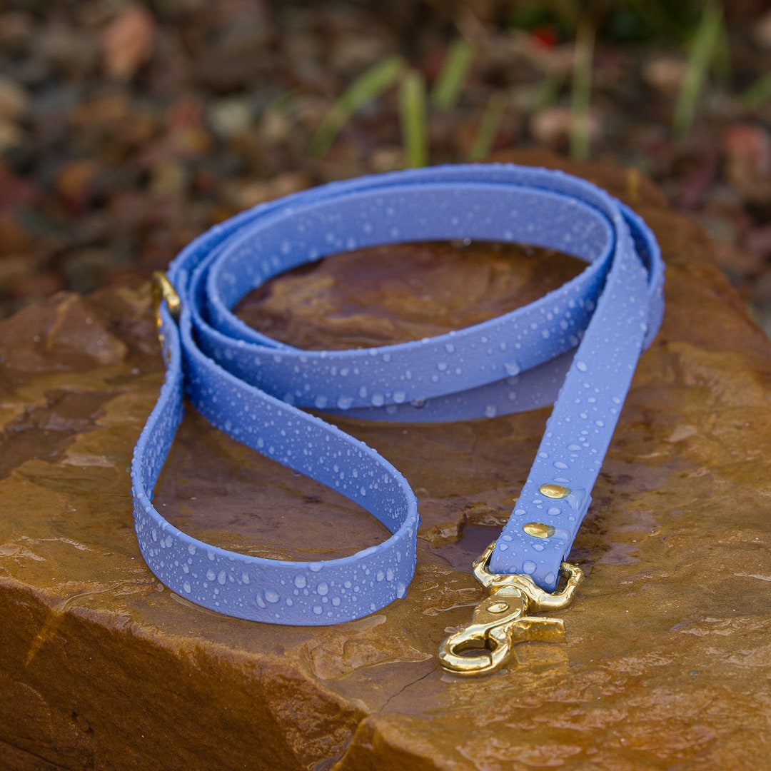 Biothane® Waterproof Dog Leash Periwinkle - Etsy