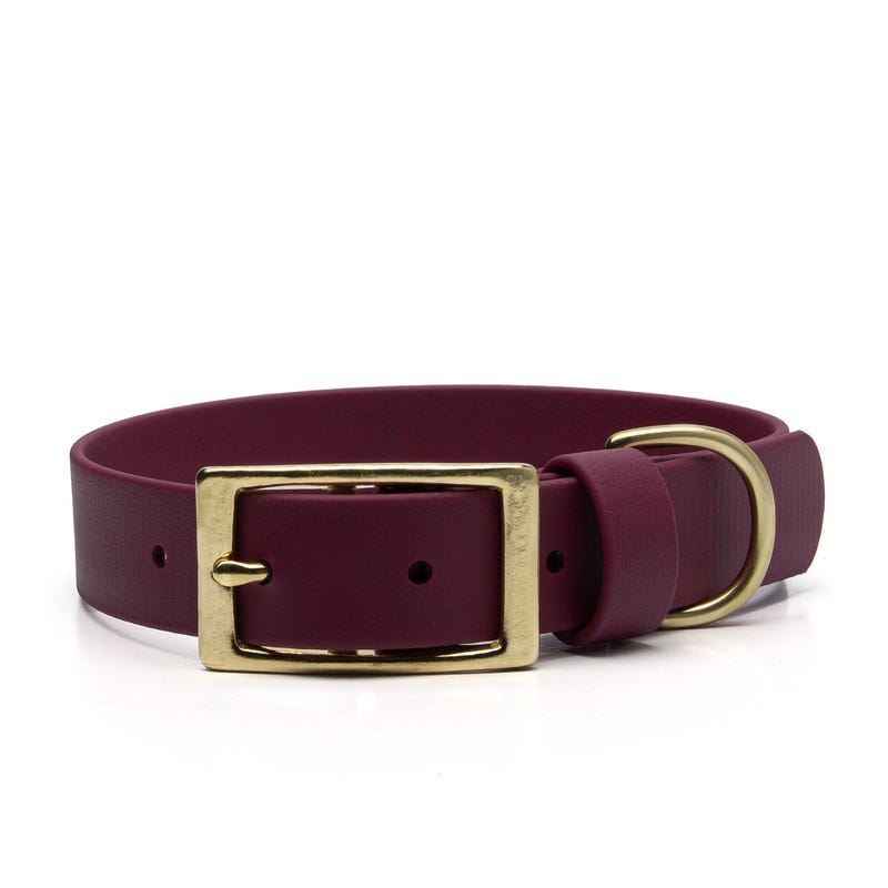 Wine Color Dog Color - Etsy