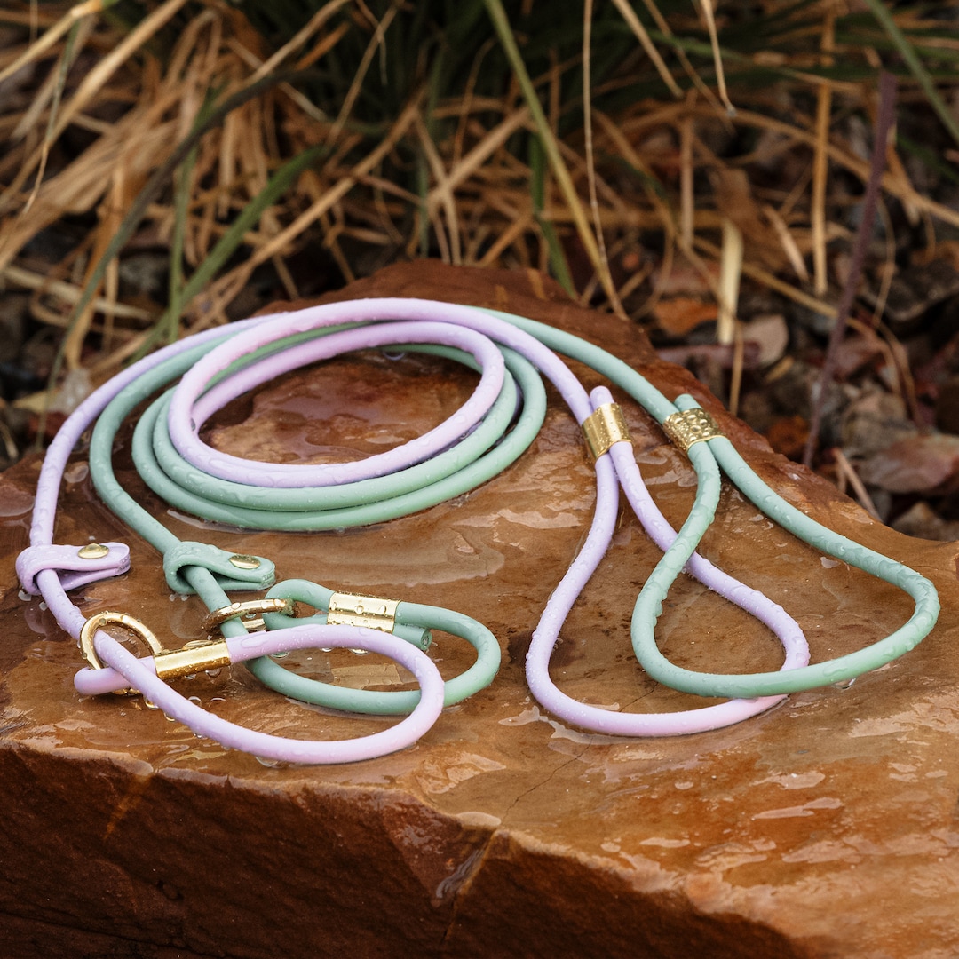 Biothane® Waterproof Rolled Slip Lead - Etsy