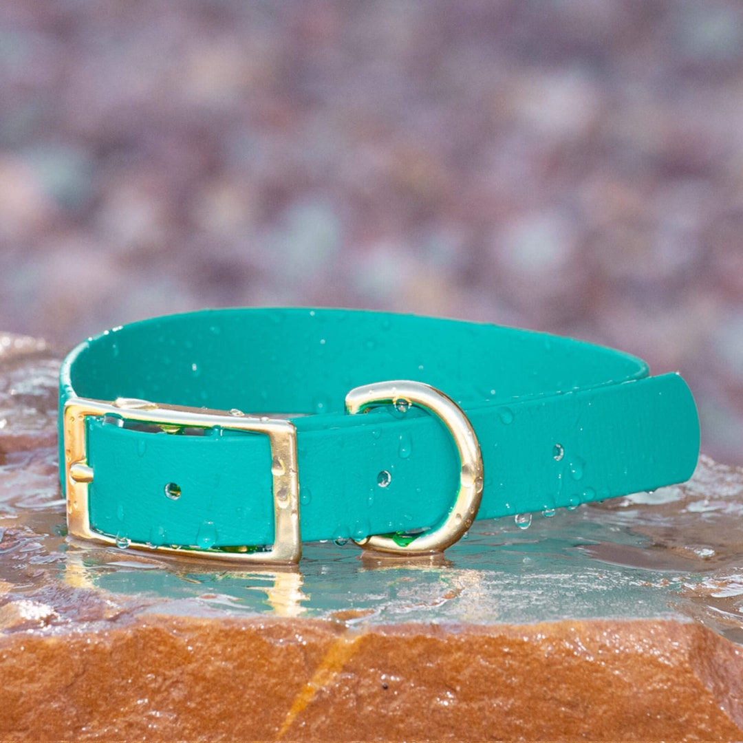 Biothane® Waterproof Buckle Dog Collar Teal - Etsy