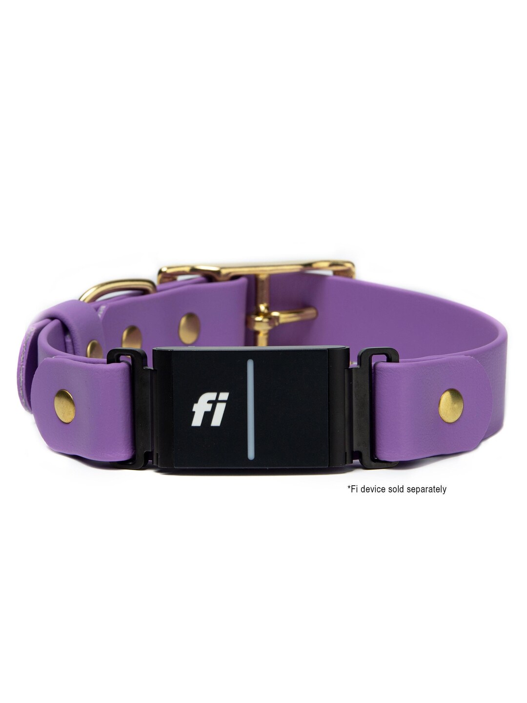 Fi Series 3 Compatible - Biothane® Waterproof Buckle Collar - Etsy