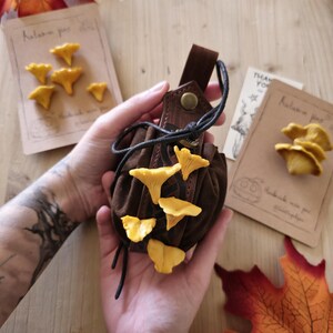 Baby Chanterelle Pins (set of 5 Resin Pins)mushrooms,goblincore ...