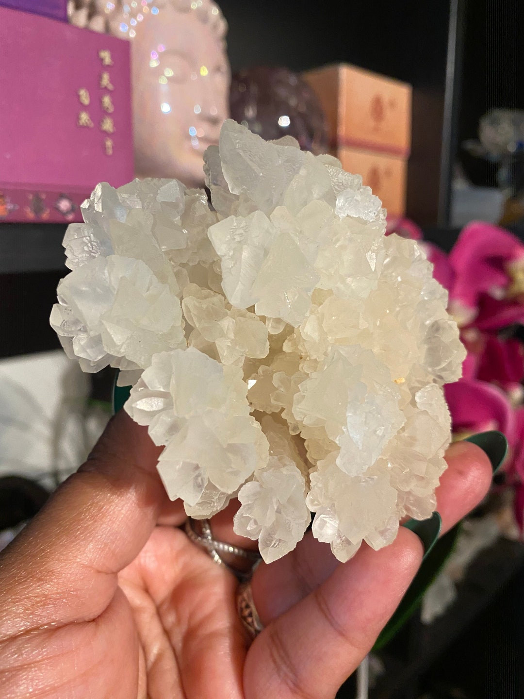 Gorgeous Druzy Coral Calcite Cluster, Cave Calcite, Stalactite ...