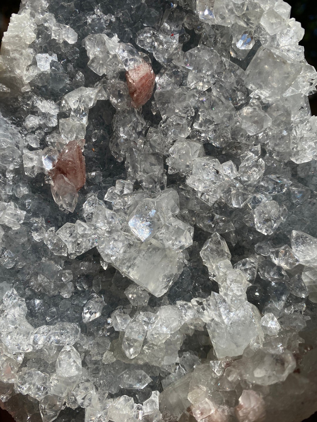 Stunning Super Grade Apophyllite on Blue Gray Chalcedony Cluster, Self ...