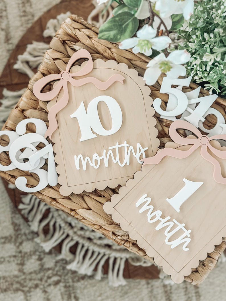 Bow, Milestone, Monthly Milestone, Baby Girl, Baby Shower Gift, New Mom ...