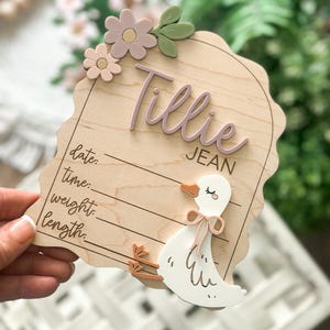 Goose, Silly Goose, Birth Stats, New Baby Announcement, Birth ...