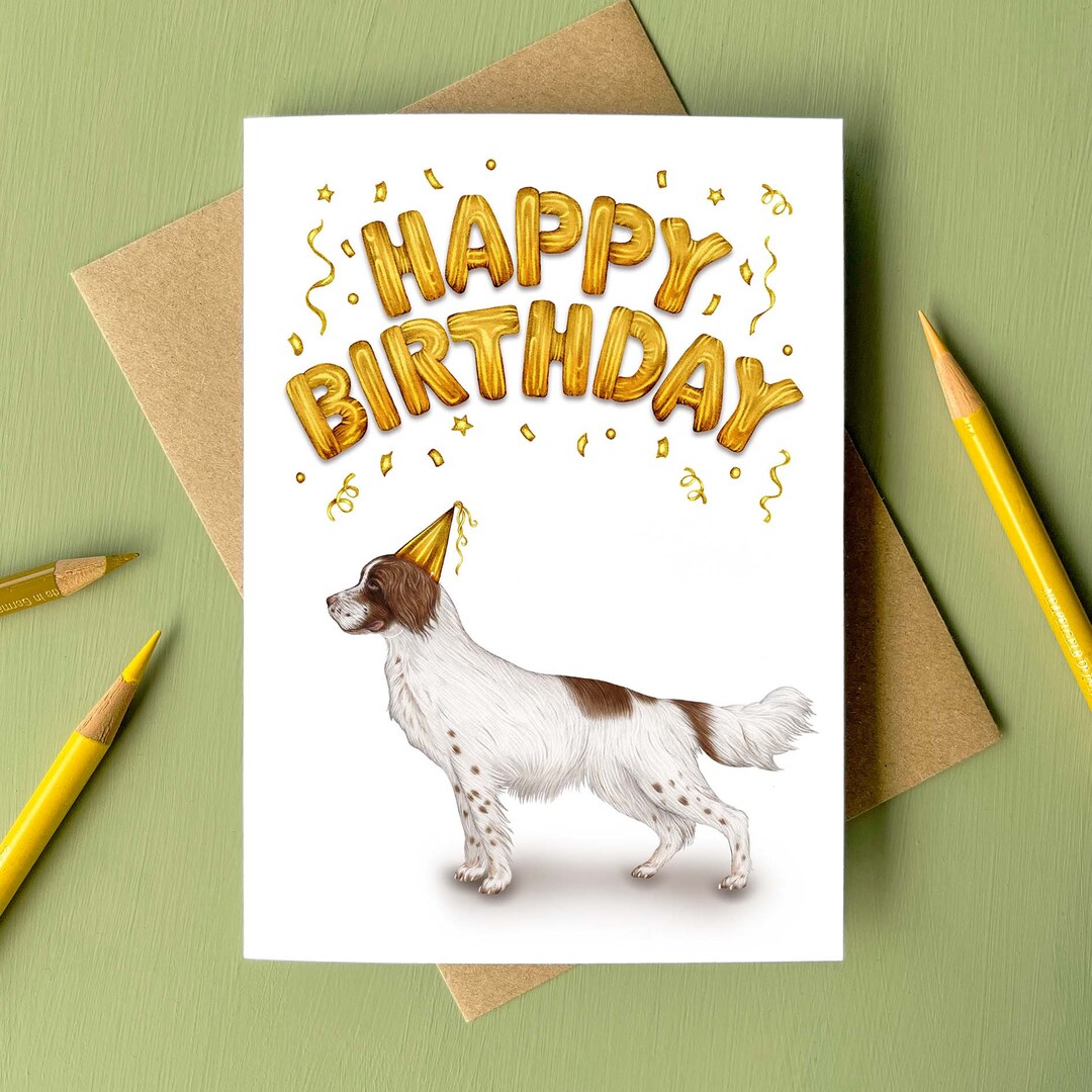 Springer Spaniel Gold Birthday Greetings Card, 5x7 Inches, Dog ...