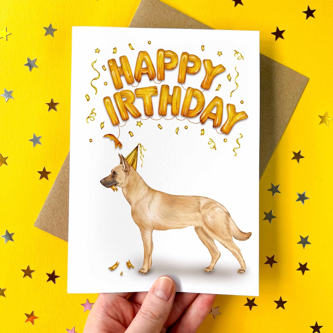 Belgian Malinois Fun Birthday Greetings Card, 5x7 Inches, Dog Greetings ...