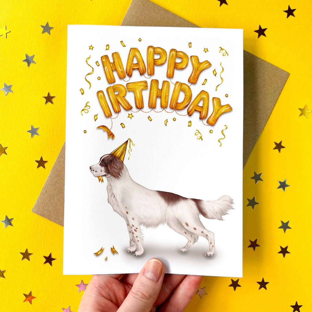 Welsh Springer Spaniel Fun Birthday Greetings Card, 5x7 Inches, Dog ...
