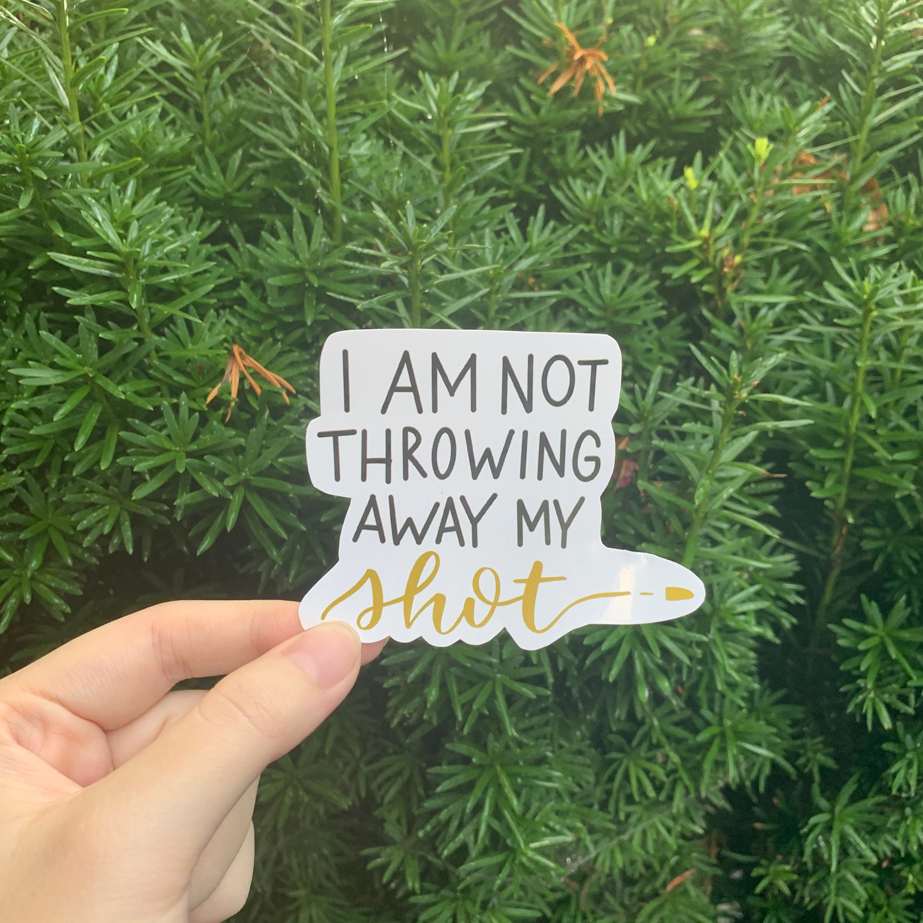 I Am Not Throwing Away My Shot Sticker Hamilton Quote - Etsy