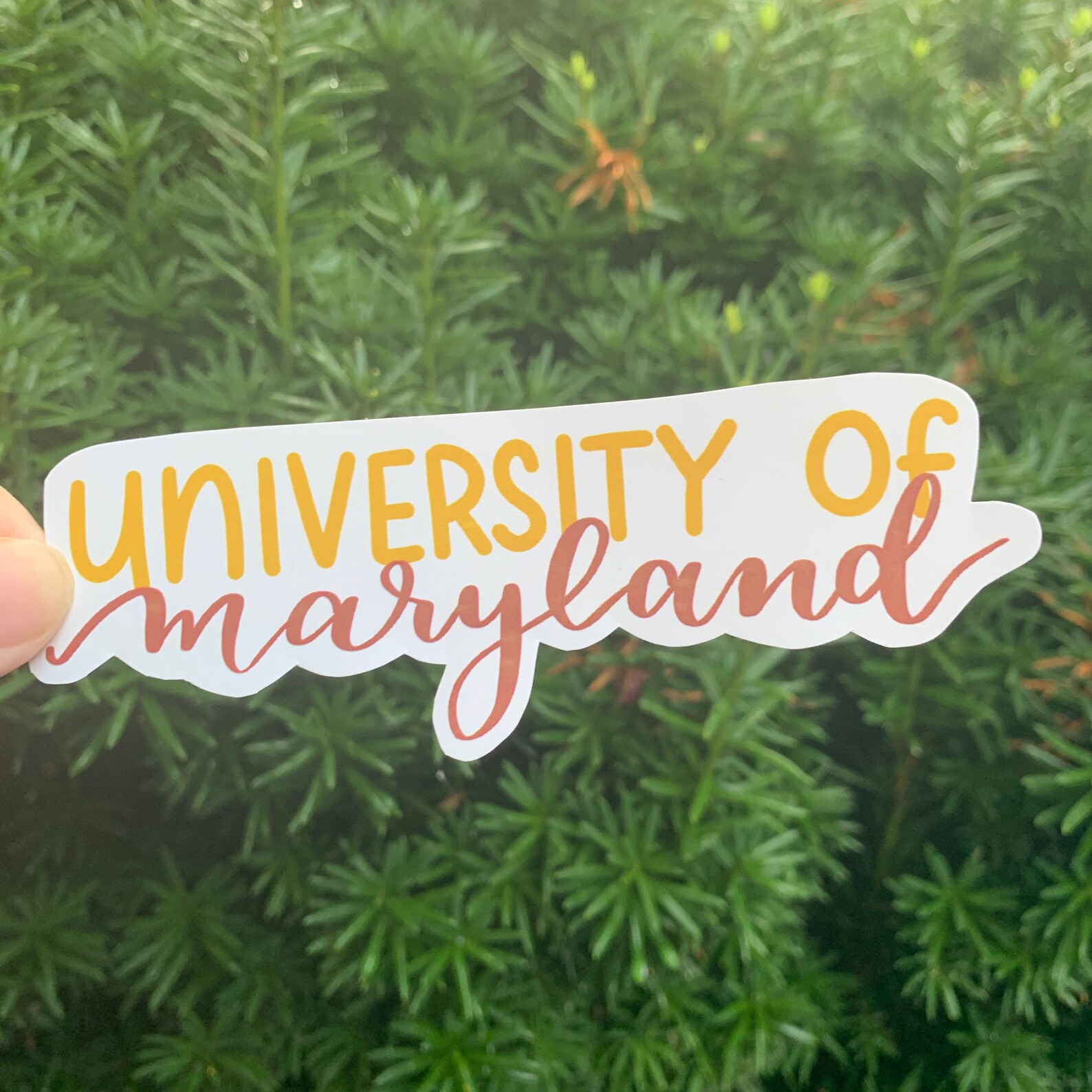 Custom Calligraphy College Name Stickers - Etsy