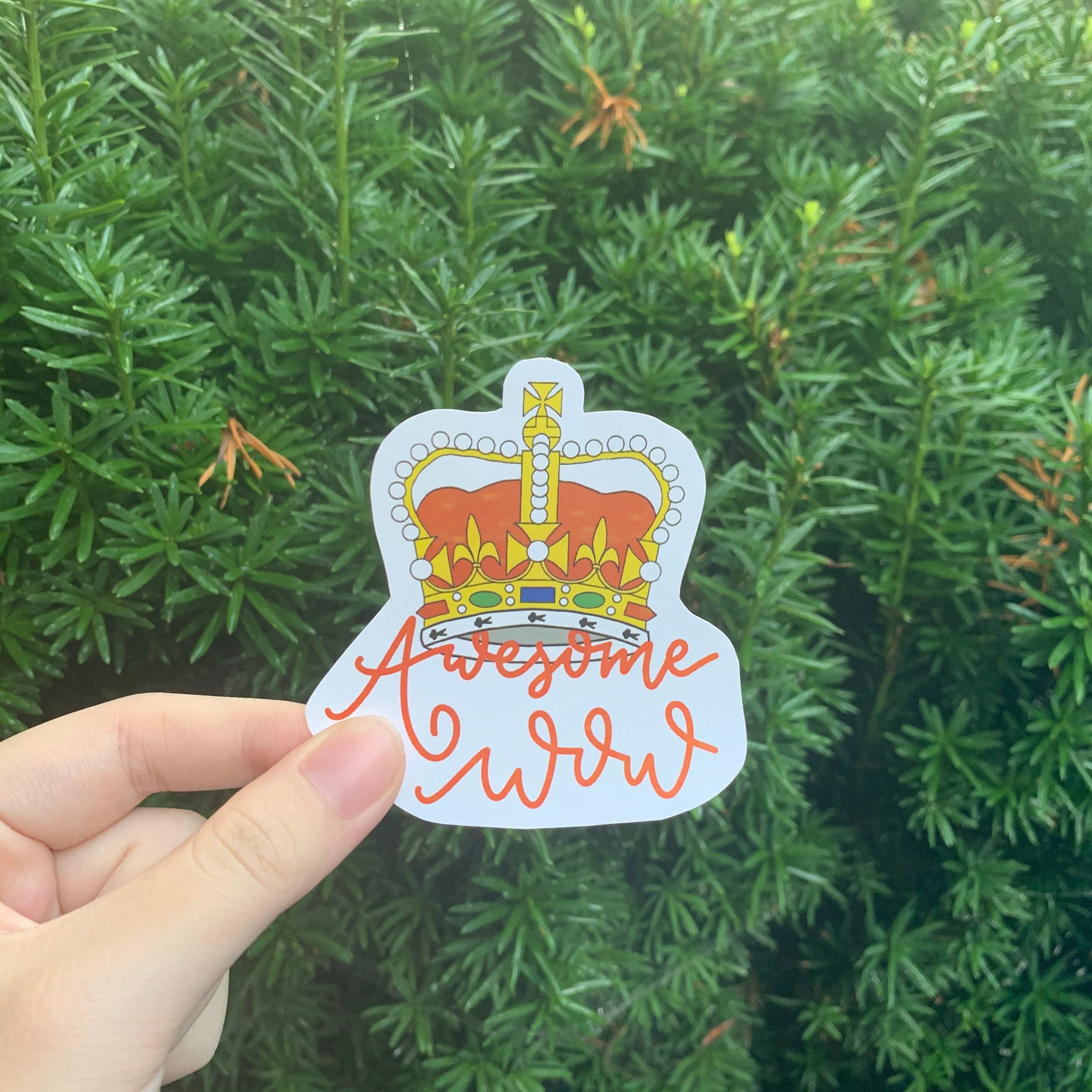Awesome Wow Sticker | King George Sticker | Hamilton Quote Sticker - Etsy
