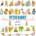Peter Rabbit Machine Embroidery, 30 Designs, Beatrix Potter Embroidery ...