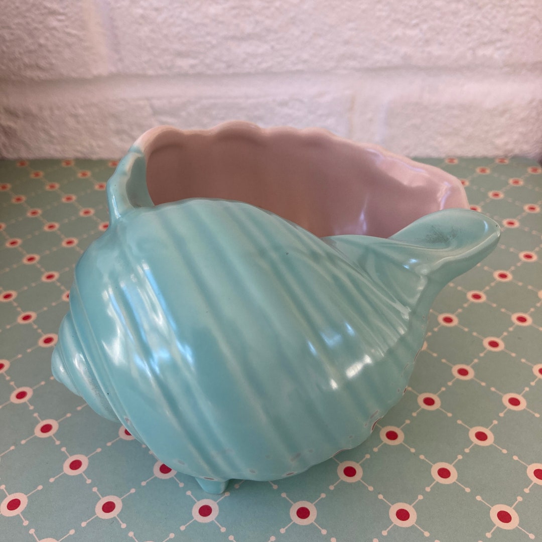 Poole Pottery Blue Shell Twin Tone Seashell Seaside Beach Seashore ...