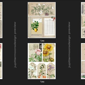 Vintage Botanical Ephemera | DIGITAL DOWNLOAD | Junk Journal | Ephemera ...