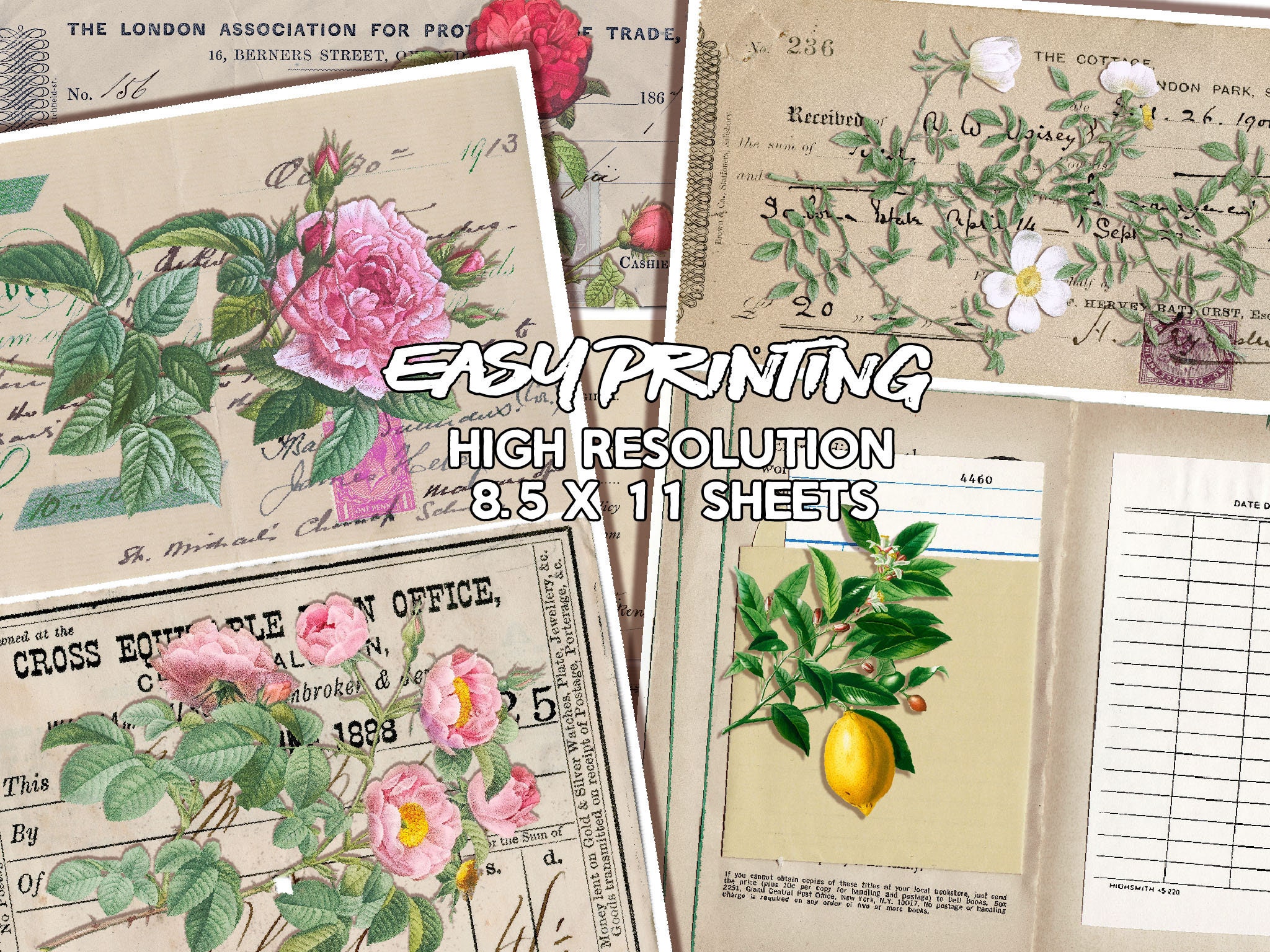 Vintage Botanical Ephemera DIGITAL DOWNLOAD Junk Journal - Etsy