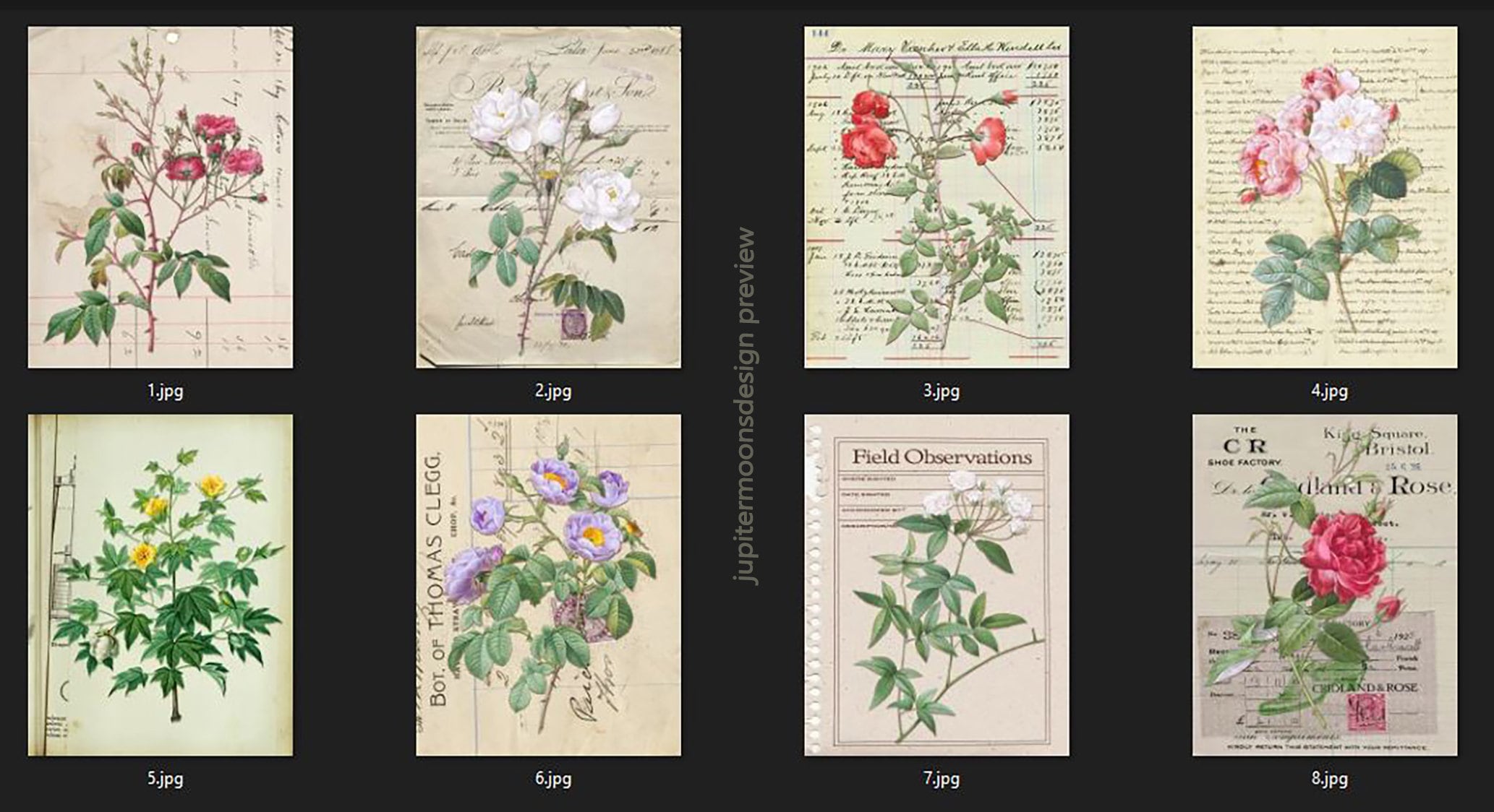 Vintage Botanical Papers | DIGITAL DOWNLOAD | Junk Journal | Ephemera ...