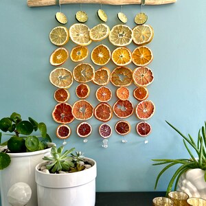 Sunrise Citrus Wall Hanging - Etsy