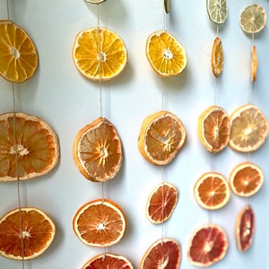 Sunrise Citrus Wall Hanging - Etsy