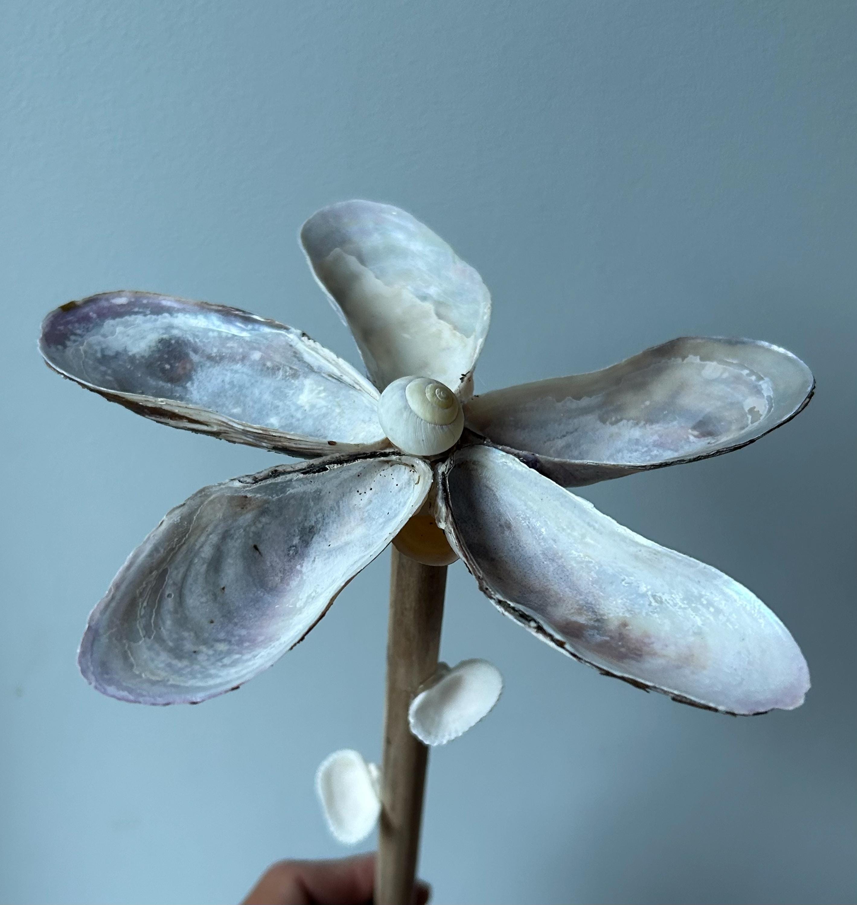 Floral Bee Baths - Mussel Shell Garden Decor - Etsy