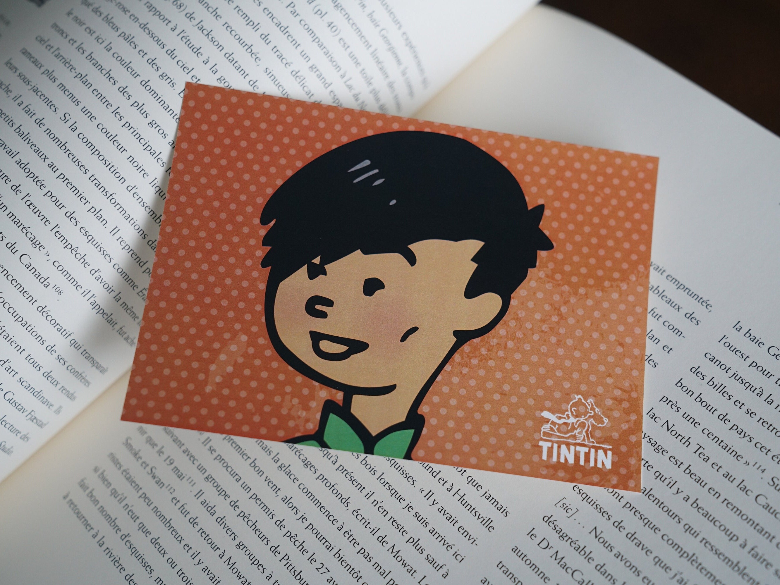 Set of 8 Tintin Different Image Postcards 8 Designs Gift Fun Greeting ...