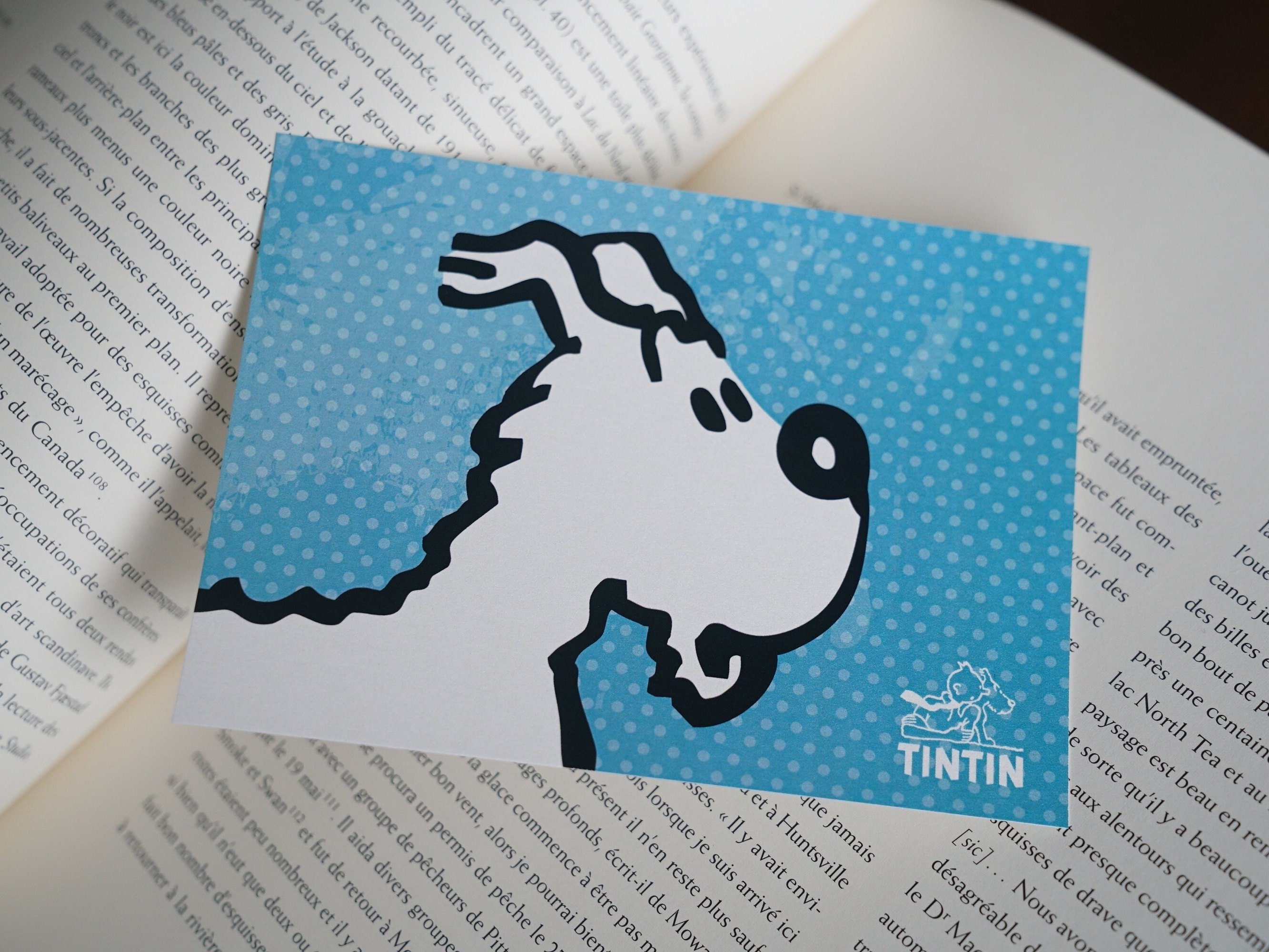 Set of 8 Tintin Different Image Postcards 8 Designs Gift Fun Greeting ...