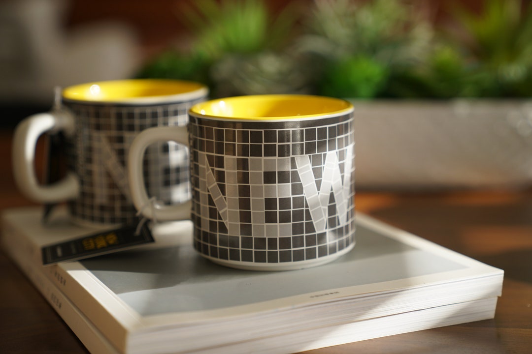 Starbucks Coffee New York City Collection Mug Subway Wall Pigeon Gray ...