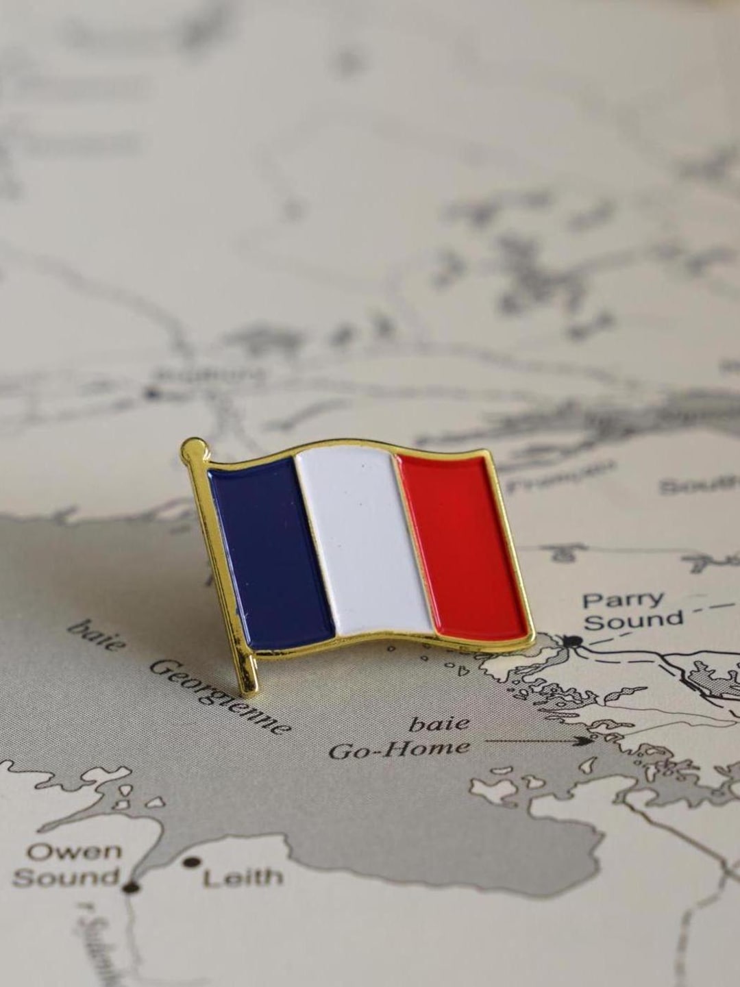 France Flag Pin - Etsy