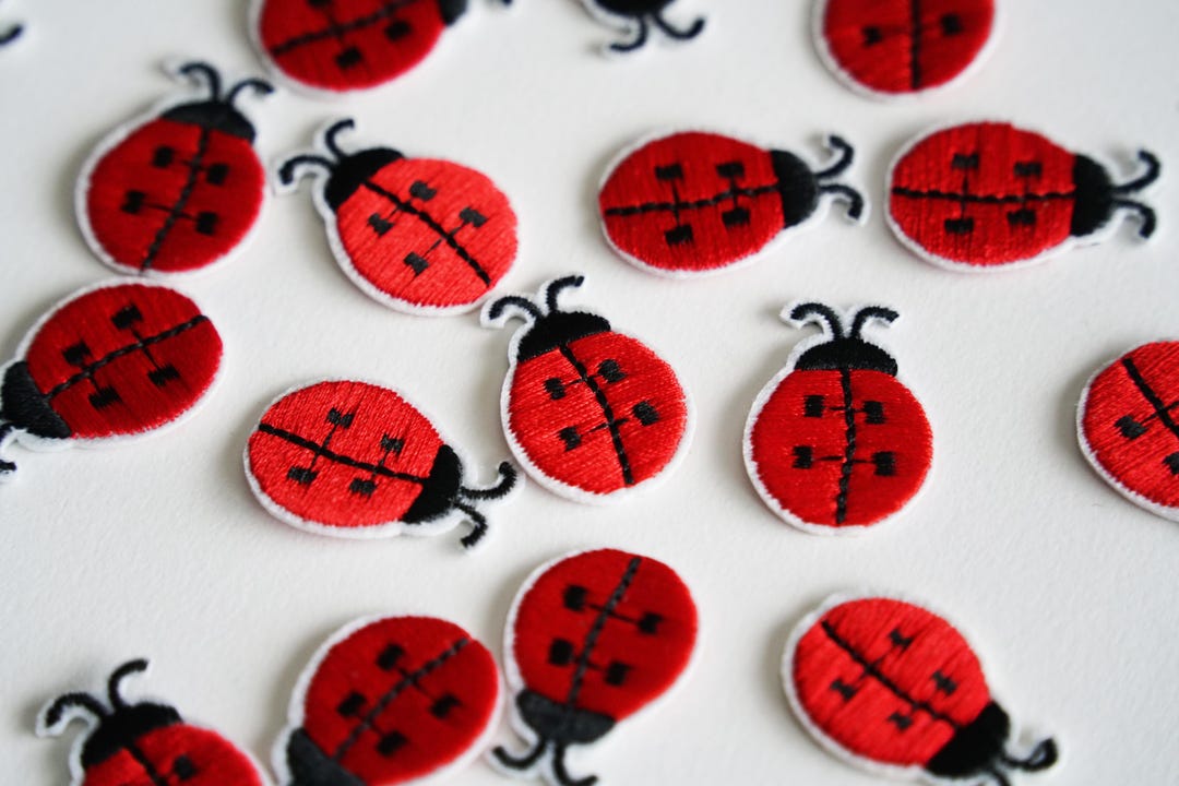 Mini Ladybird Patch Ladybug Embroidered Applique Patch - Etsy