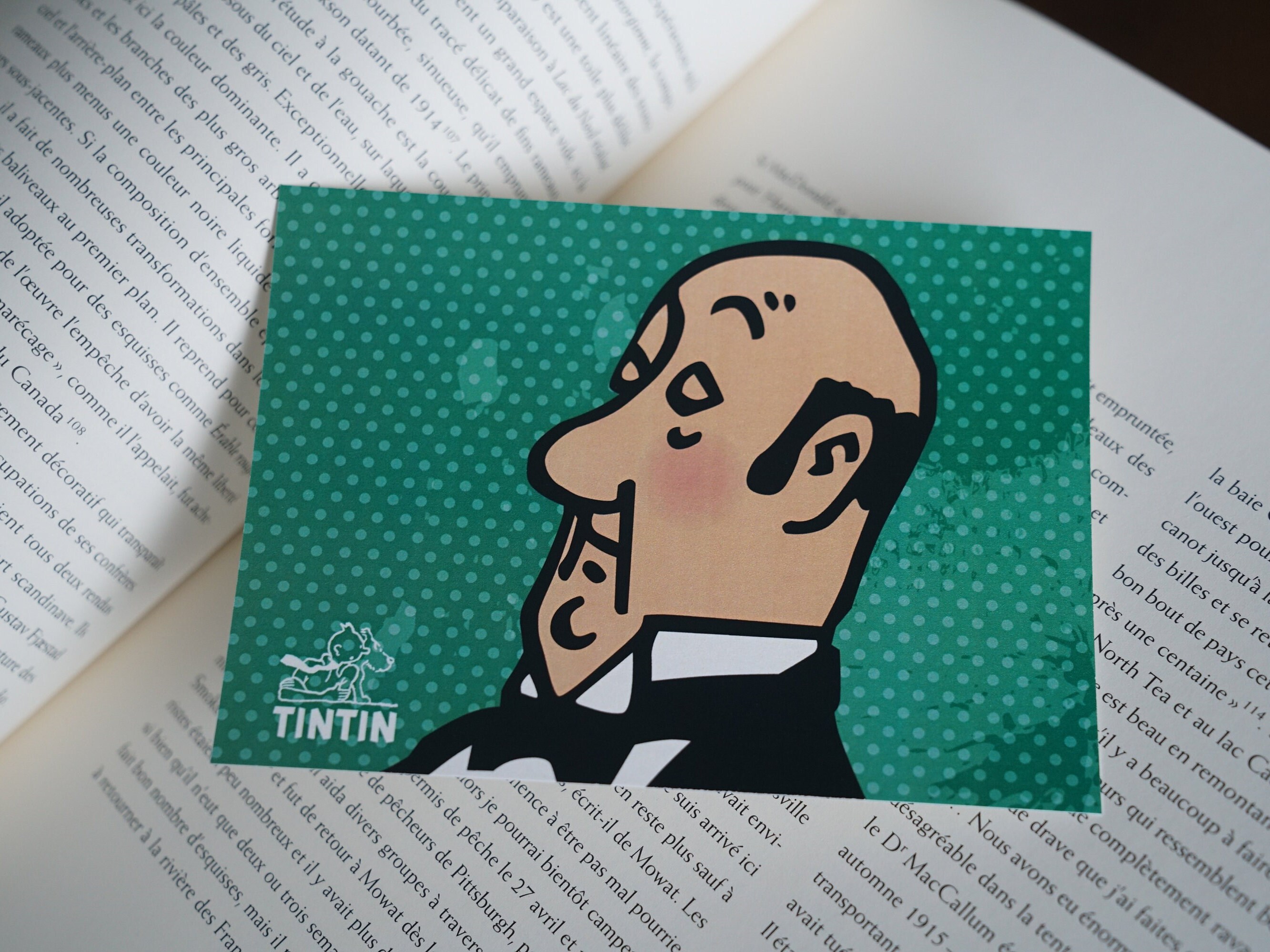 Set of 8 Tintin Different Image Postcards 8 Designs Gift Fun Greeting ...