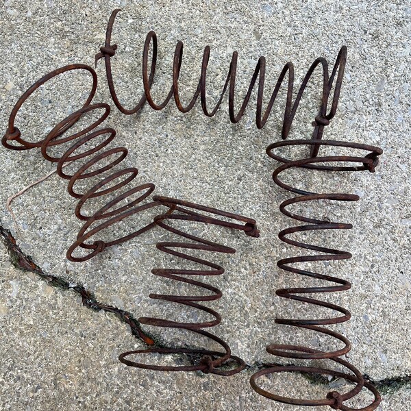 Rusty Spring - Etsy