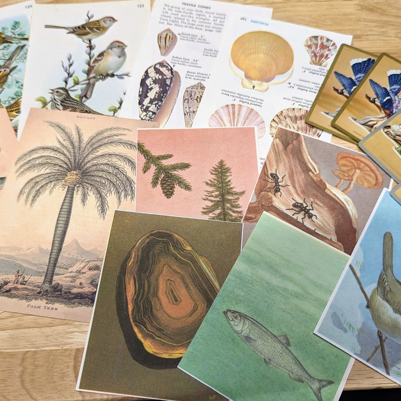 Collage Materials - Etsy