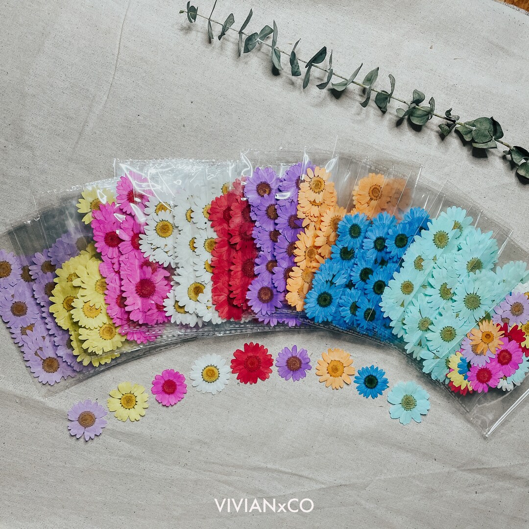 SHIPS FROM U.S. Real Dried Pressed Daisy Flowers 15 Pieces | Resin ...